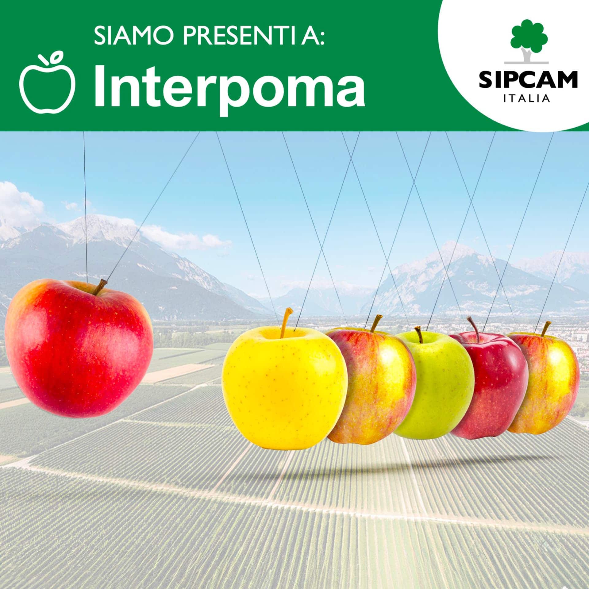 BIOLID UP | Insetticidi e Nematocidi | SIPCAM